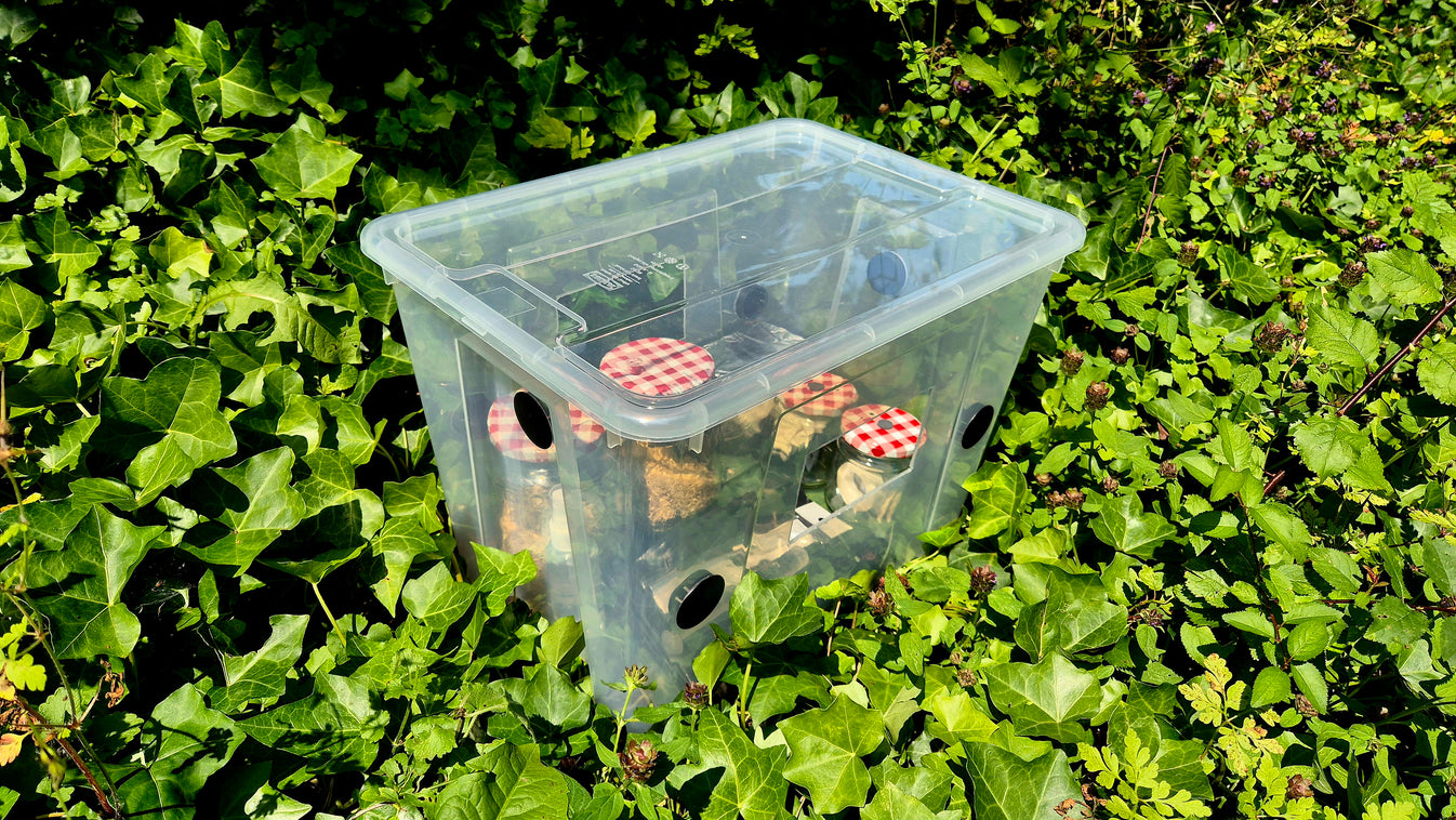 Mushroom Starter Kit – EasyMushroomCultivation